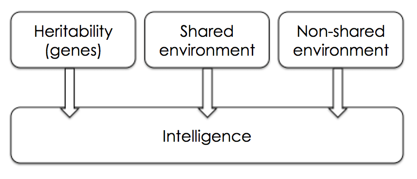 Do schools matter less than we think? – David Didau